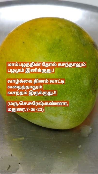 மாம்பழ வாழ்க்கையும் மாமூல் வாழ்க்கையும் Youtube
