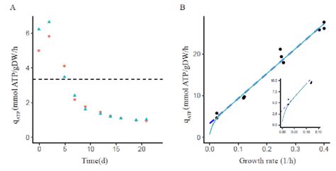 Model Predictions On The Biomass Accumulation Growth Rate And The