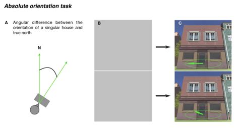 Absolute Orientation Task A Schema Of The Absolute Orientation Task Download Scientific