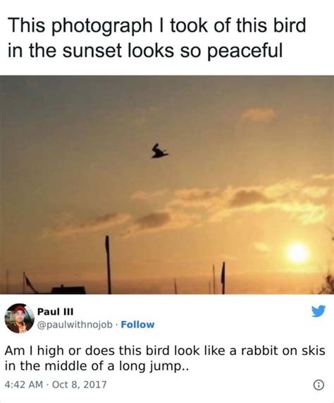 This Group Exists To Make Your Mood Better” And Here Are 50 Of Their