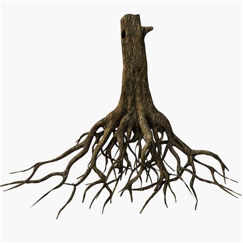 Tree Roots 3d Model 25 Obj Max Fbx Free3d