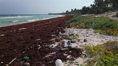 A Beach Littered With Plastic And Waste Caused By The Pollution Crisis