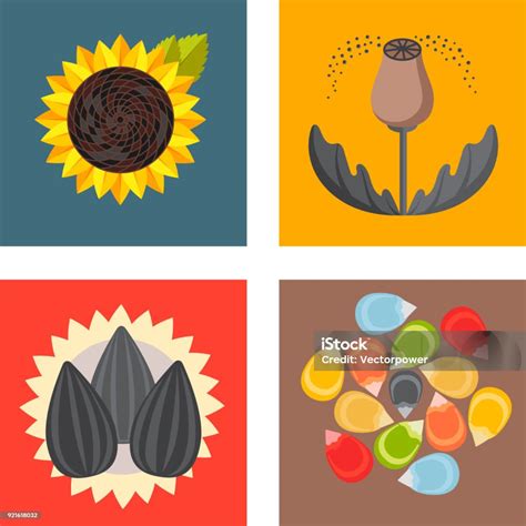 시리얼 씨앗 곡물 제품 배지 벡터 로고 템플릿 설정 천연 식물 Muesli 거친 유기 죽 밀가루 그림 0명에 대한 스톡 벡터