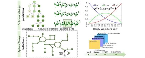 Evolutionary Systems Biology Priority Research Area At The University