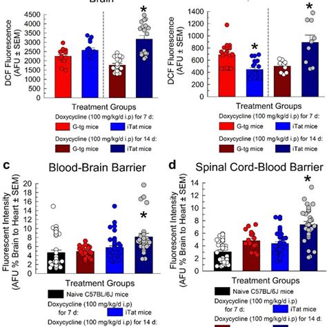 Evaluation Of Hiv Tat Induced Oxidative Stress And Blood Brain Barrier