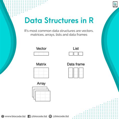 R データフレーム 作る ベクトル Rose Lawrence