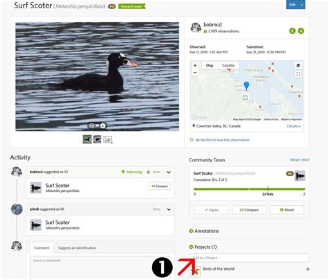 Adding Observations To A Traditional Project Wiki Tutorials