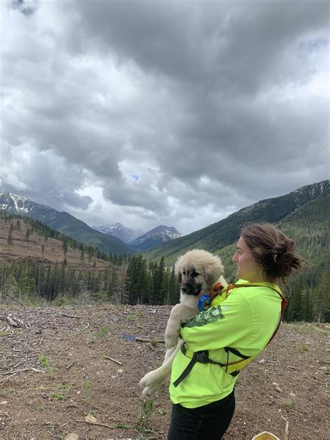 The Wild Unruly Life Of A Tree Planter