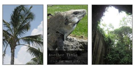 Super Simple JQuery Caption Hover Over Effect JQuery Caption Free