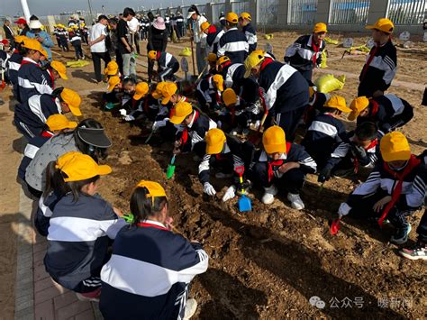 康巴什这所学校居然有“校园农场”→澎湃号·政务澎湃新闻 The Paper