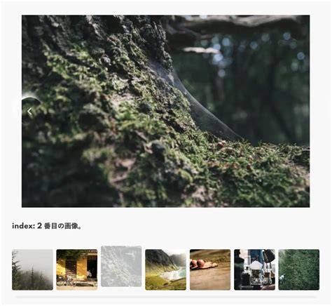 【laravel9 Vite Vuejs 3】 Swiper でサムネイル付きのスライドショー Sfc を作成する記録 Oki2a24