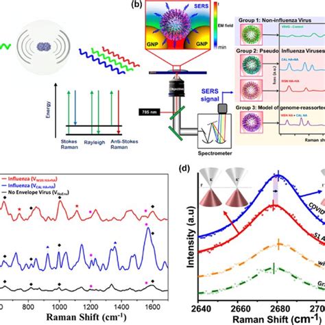 illustration of the whispering gallery mode wgm technique for virus