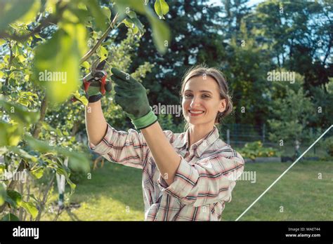 Woman Pruning Tree Hi Res Stock Photography And Images Alamy
