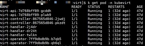 Vm Status Always Crashloopbackoff · Issue 9015 · Kubevirtkubevirt