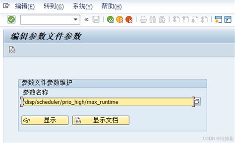 如何调整sap系统程序的执行时间sap 程序最大运行时间 Csdn博客