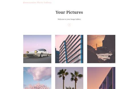 Github Eneszenler Photo Gallery Firebase