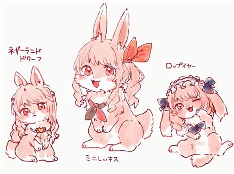 らるりんた🦊 On Twitter 擬獣化 さまざま 🐰 Mzk