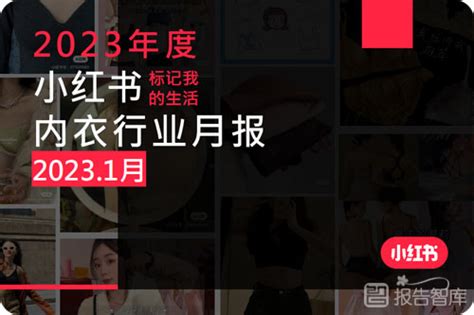 小红书内衣行业怎么样？小红书内衣行业前景分析月报－报告智库