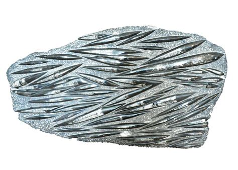 Large Ammonite Fossil Ebth