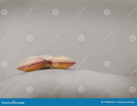 Hot Shell Massage On Back Stock Image Image Of Peace 19694649