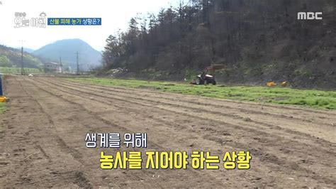 4624회 1 또 흉기 난동 반복되는 참극 2 밥상 물가 비상 3 눈과 귀가 즐겁다 4 일상 속 ‘황당 빌런