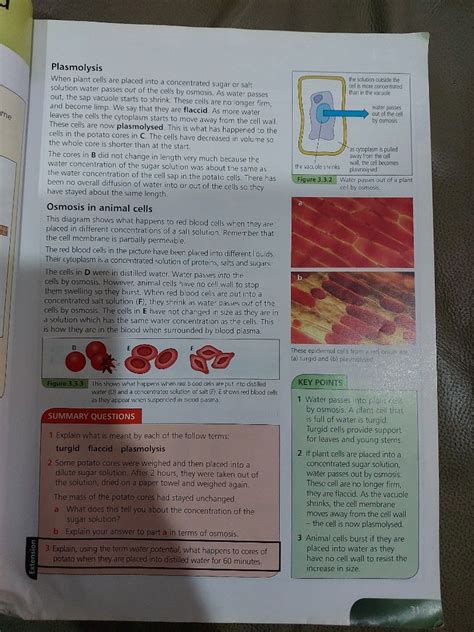 Igcse Biology Textbook Hobbies And Toys Books And Magazines Textbooks On