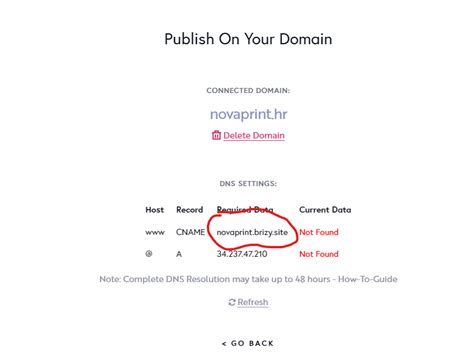 Cant Conect The Domain Brizy Help Center