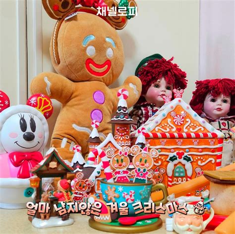 얼마 남지 않은 추운 겨울의 크리스마스 🎄 콜리colley