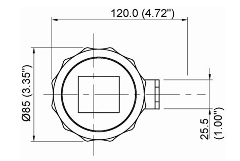 Rochester T Ll70 Vertical Float Switch