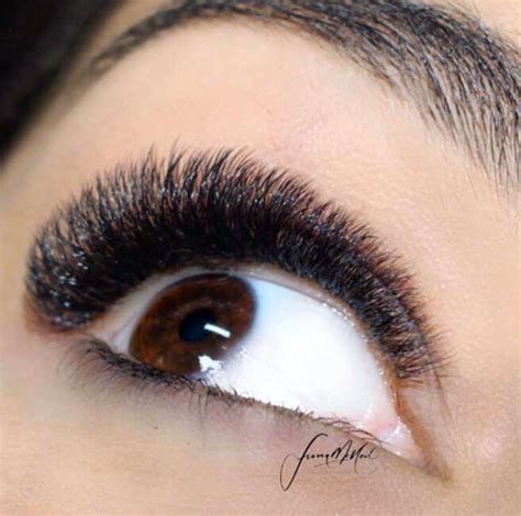 Lash Tribe Eyelash Extension Training And Lash Products