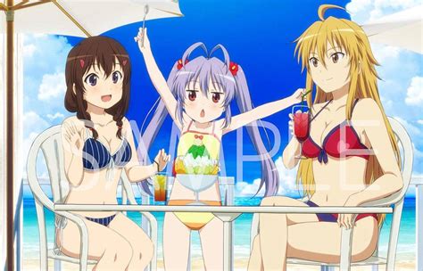 【新品】bd 劇場版 のんのんびより ばけーしょん Jp 限定版 同梱特典 B2布ポスター 検宮内れんげ 富士宮このみ