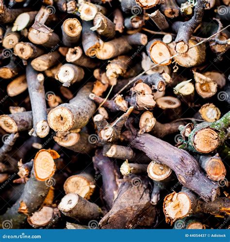 Fire Wood Background Wood Sticks Stock Image Image Of Chopped