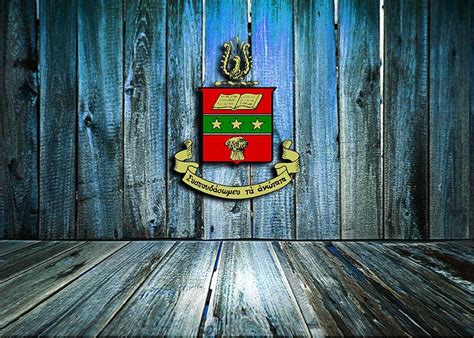 Alpha Chi Omega Stacys Got Greek