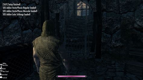 ENB Destroys Everything Skyrim Technical Support LoversLab
