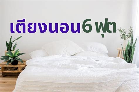 ชี้เป้า เตียงนอน 6 ฟุต หลากสไตล์ ตั้งแต่หลักพันจนถึงหลักหมื่น