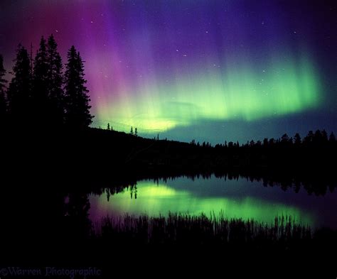 Aurora Borealis Photo WP01835