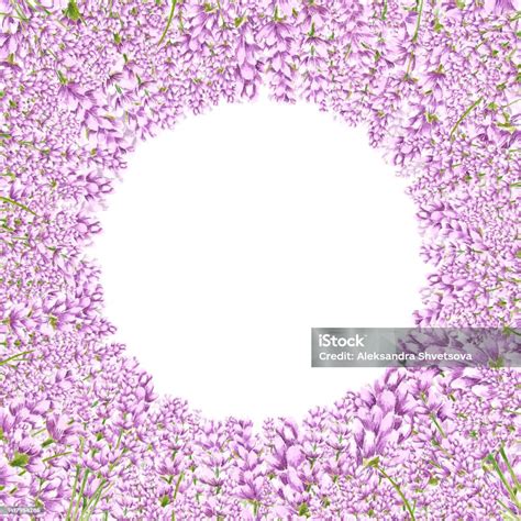 손으로 그린 라벤더 꽃 수채화 보라색 프레임 보더 스크랩북 디자인 타이포그래피 포스터 청첩장 라벨 배너 및 카드 0명에 대한 스톡 벡터 아트 및 기타 이미지 Istock
