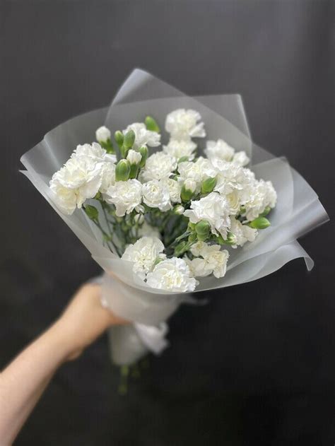 Кустовые гвоздики купить москва розница — купить по низкой цене на ...