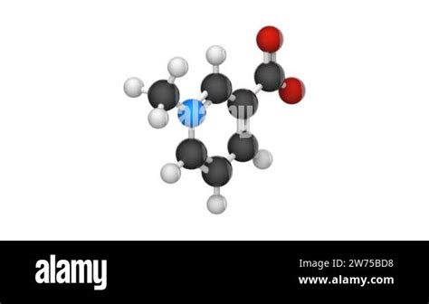 Trigonelline Coffearine Gynesine Trigenolline Is An Alkaloid With Chemical Formula C7h7no2