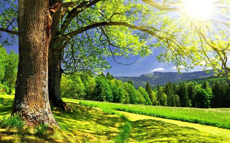 Sunny Landscape Hd Wallpapers 4k Hd Backgrounds On Wallpaperbat