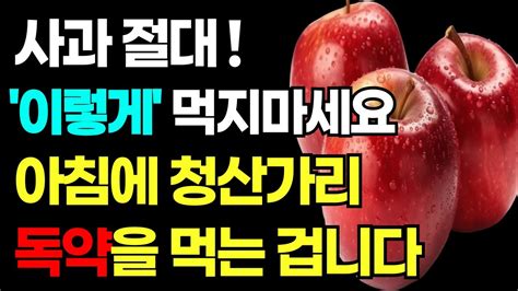 아침에 사과 ‘이렇게 먹으면 독약 됩니다 잘못 알고 있는 사과섭취법 노년 건강을 위해서 사과 이렇게 드세요 아침사과의