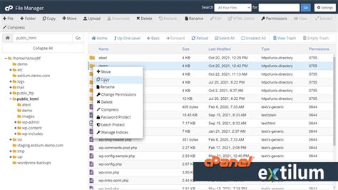Copy Files In File Manager Cpanel • Extilum Knowledgebase
