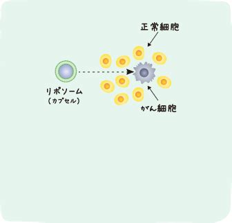 ドラックデリバリーシステム 実例 ドラッグデリバリー 例 Ajdrzj