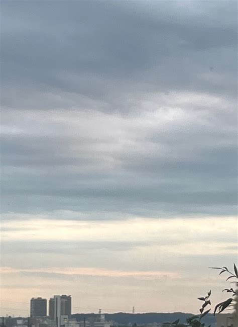 お知らせ 辺見庸ブログ Yo Hemmi Weblog