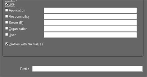 Extract Profile Option Values For All Possible Levels Oracle Ebs And