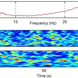 Color Online Wavelet Transform Analysis Of The EEG Signal From A Download Scientific Diagram