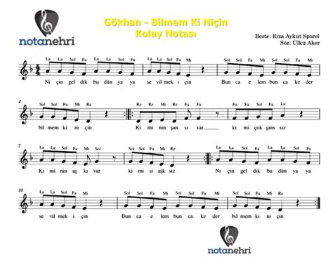 Gökhan Bilmem Ki Niçin Melodika Keman Flüt Org Notaları Nota Nehri