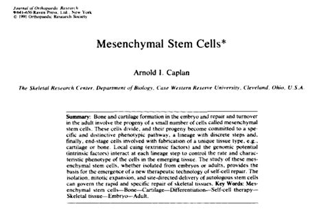 Back To The Future Mesenchymal Stem Cells Cellr4