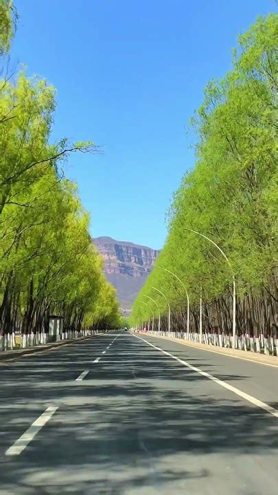 春风有信，花开有期，所有的美好都在路上旅行大玩家 Youtube