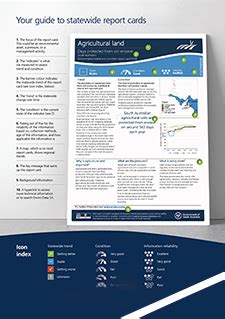 Trend And Conditions Reports